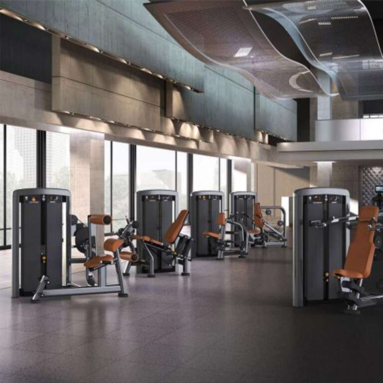 Life Fitness Insignia Series Torso Rotation | Amazon Leisure